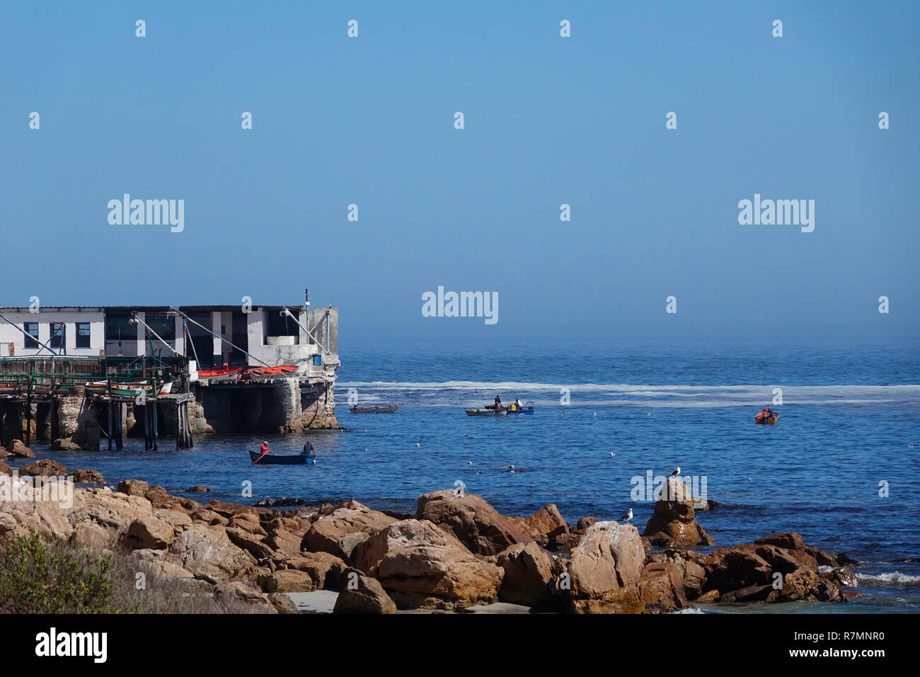 Elands bay hi-res stock photography and images - Alamy