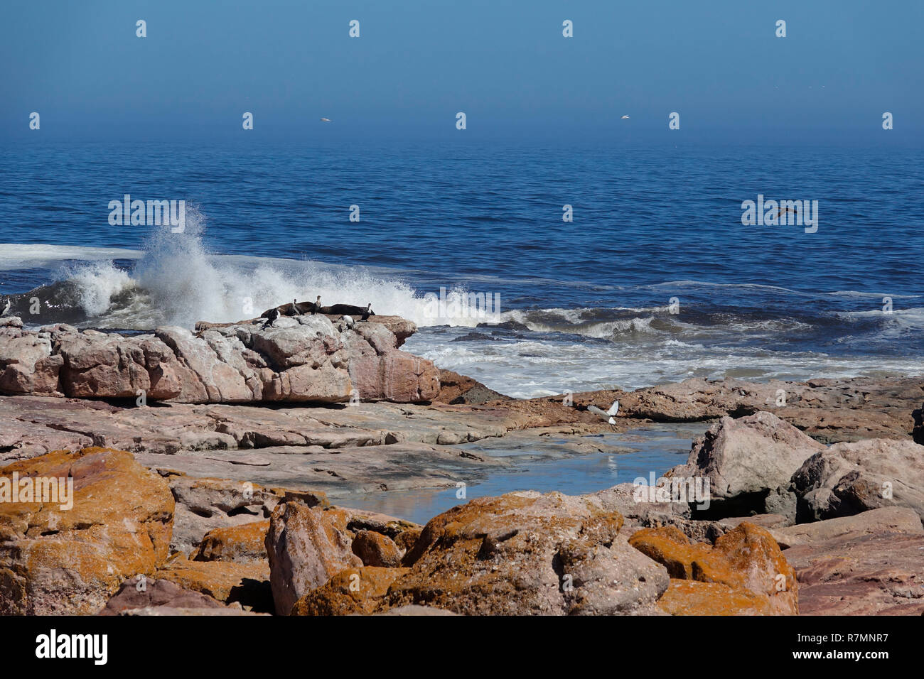 Elands bay hi-res stock photography and images - Alamy