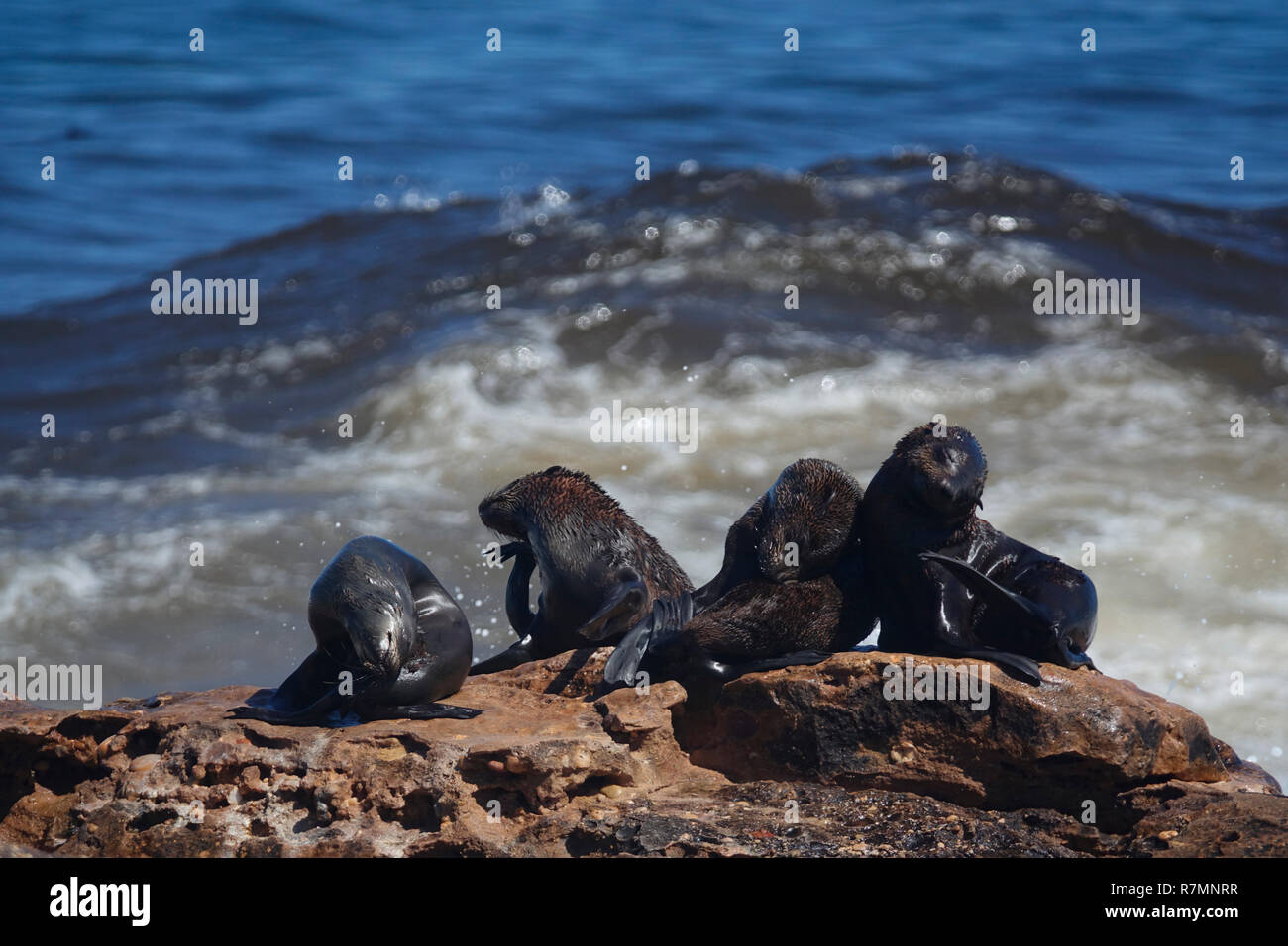 Elands bay hi-res stock photography and images - Alamy