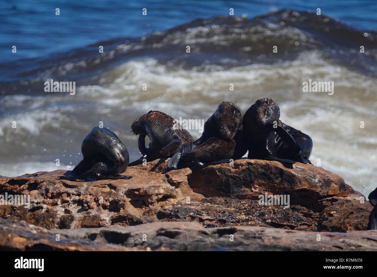 Elands bay hi-res stock photography and images - Alamy