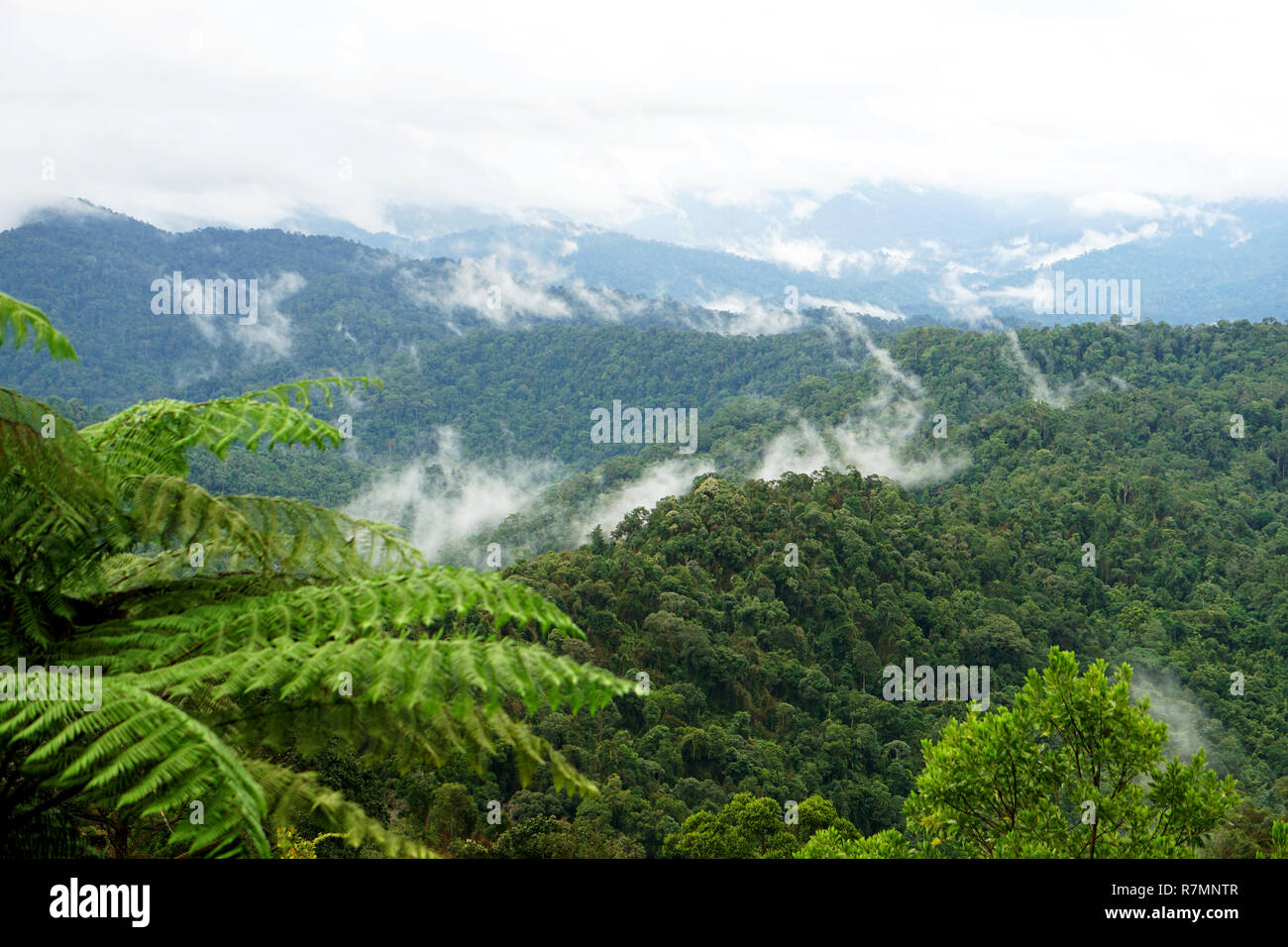 Tropical mountain range view. View Of Moving Clouds And Fog over ...