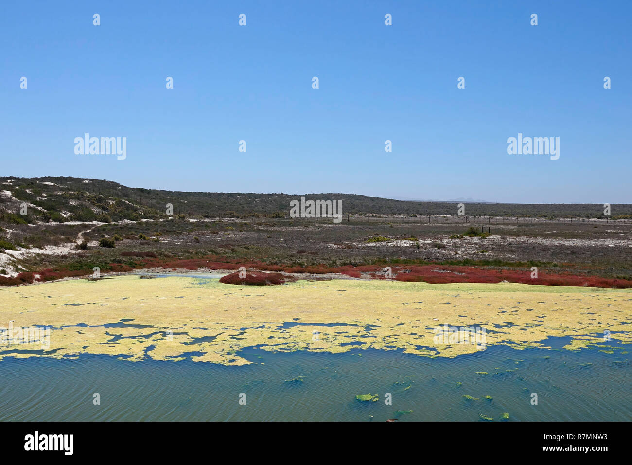 Lamberts bay waterfront hi-res stock photography and images - Alamy