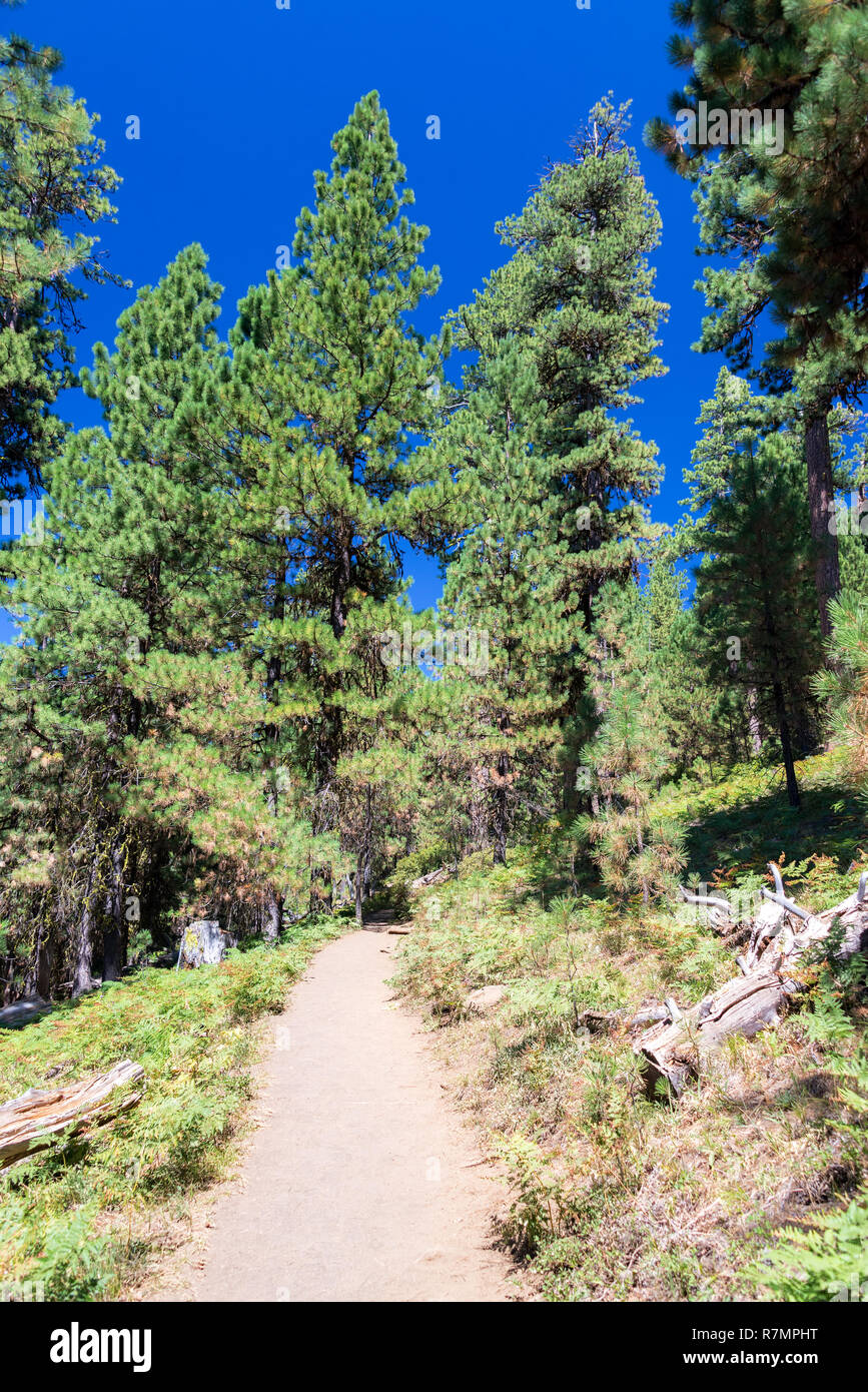 Hiking in bend oregon hi-res stock photography and images - Alamy