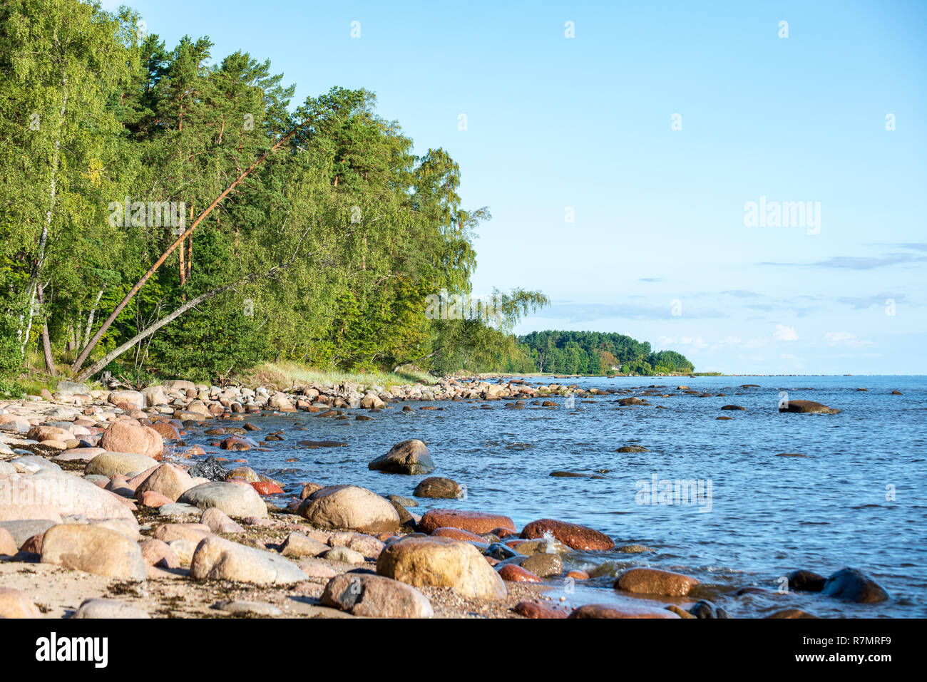 rock covered beach in countryside in Latvia, large rocks in water with ...