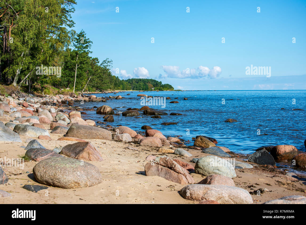 rock covered beach in countryside in Latvia, large rocks in water with ...