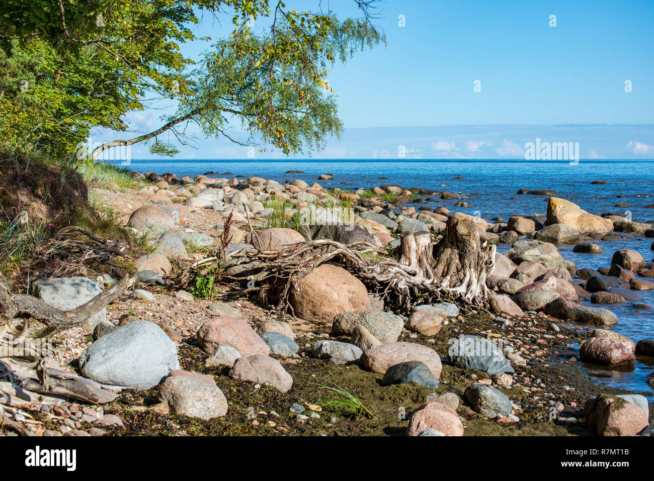 rock covered beach in countryside in Latvia, large rocks in water with ...