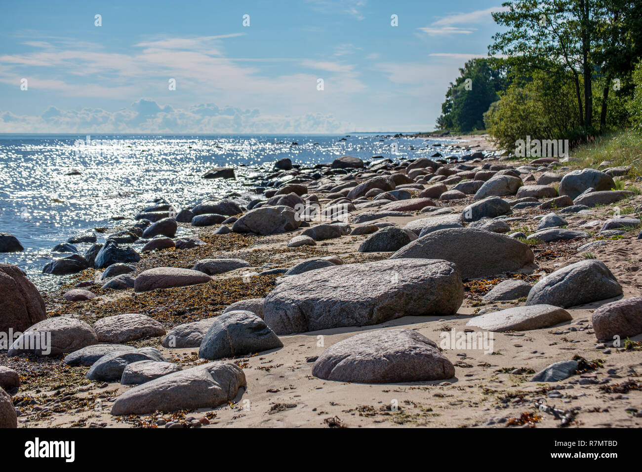 rock covered beach in countryside in Latvia, large rocks in water with ...