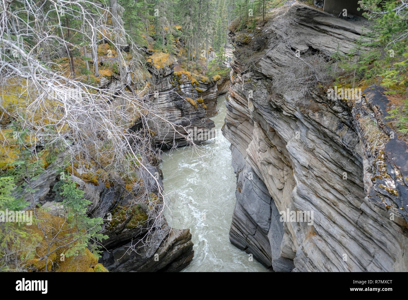 gorge with river Stock Photo - Alamy