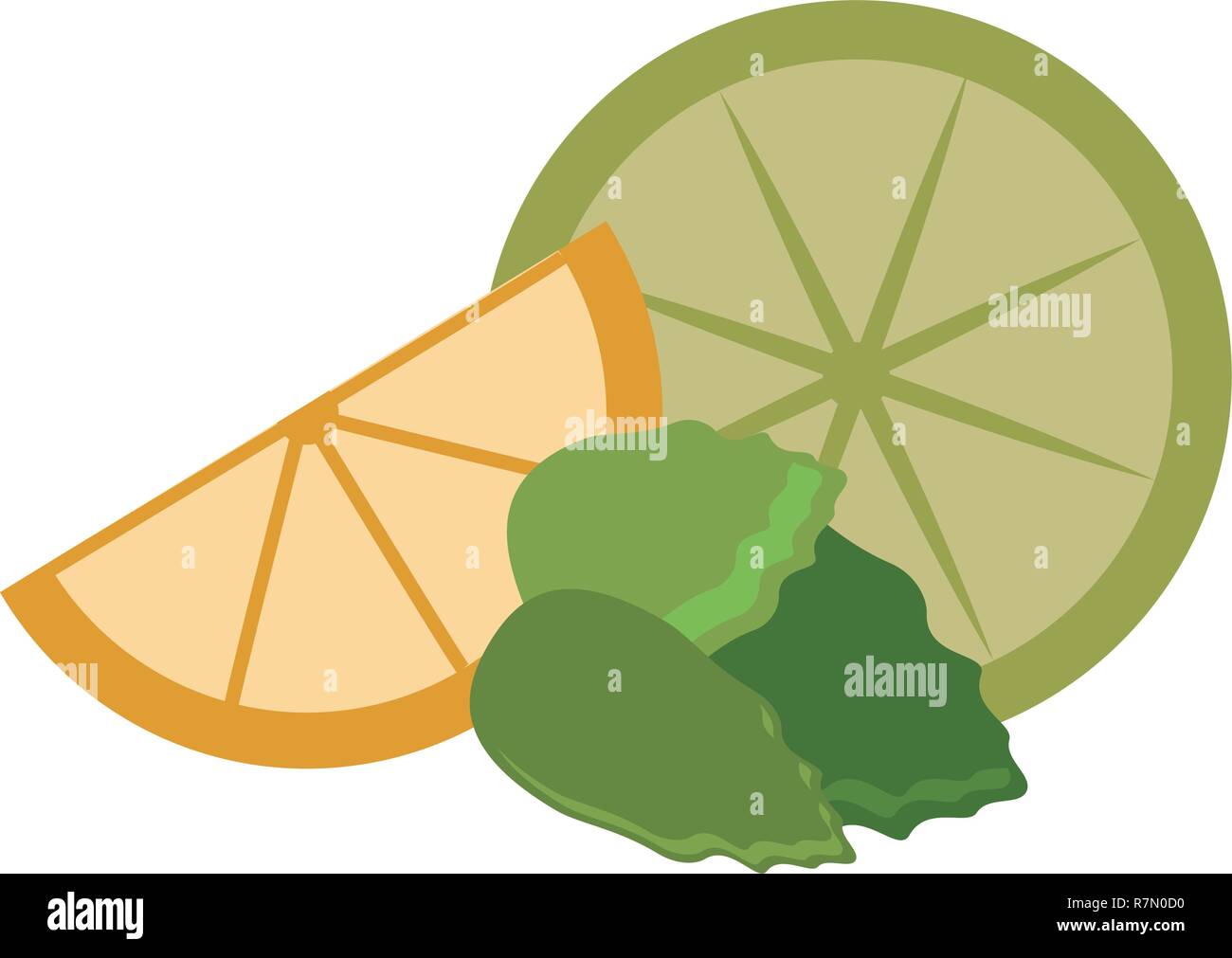Slices lime lemon mint Stock Vector Images - Alamy