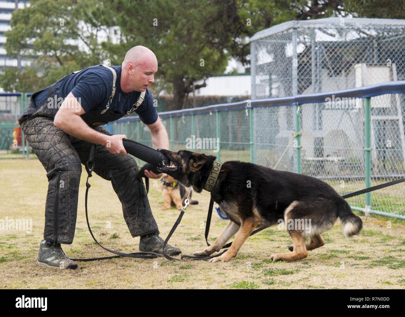 Us air force release usn hi-res stock photography and images - Alamy