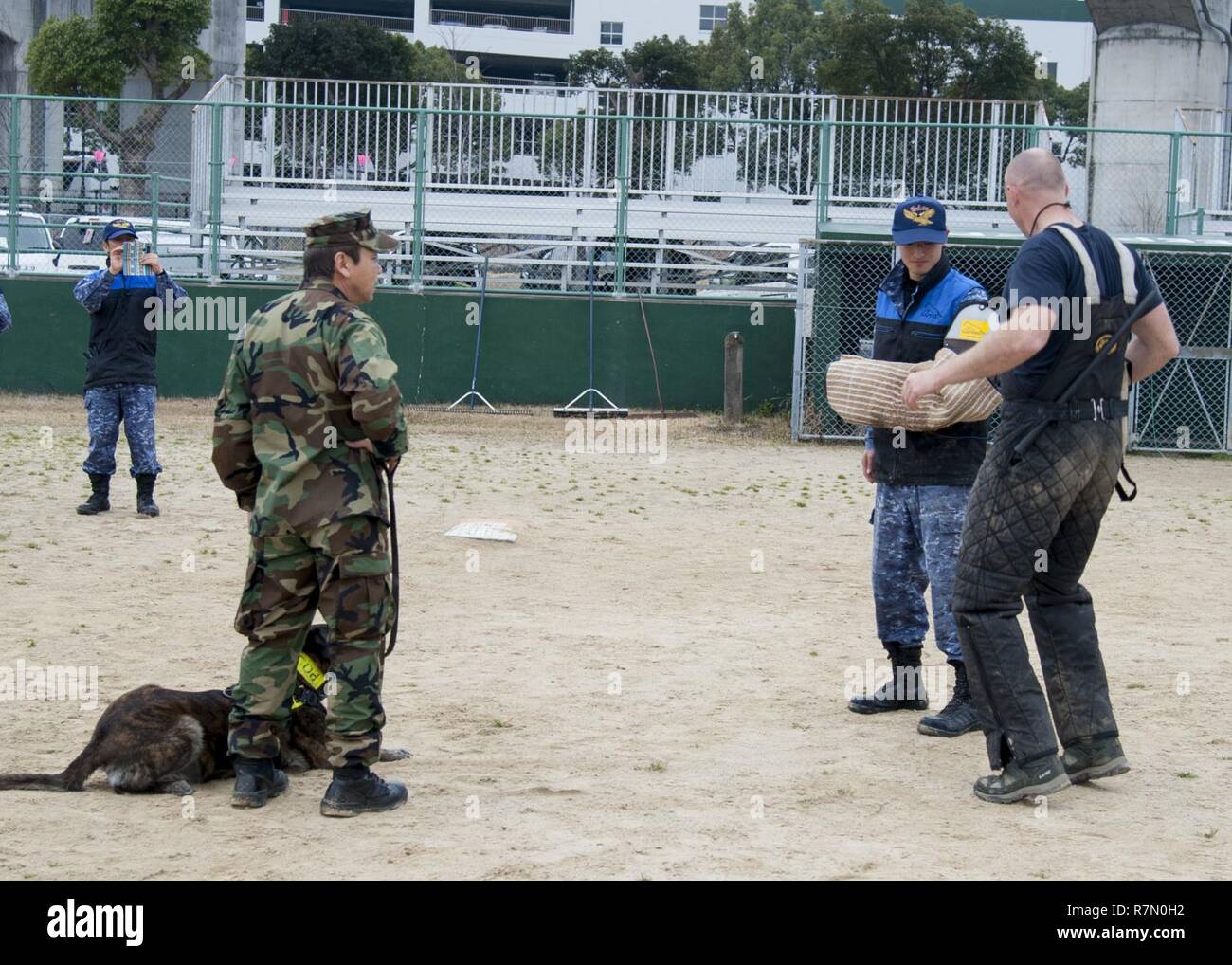 Royal cote of arms hi-res stock photography and images - Alamy