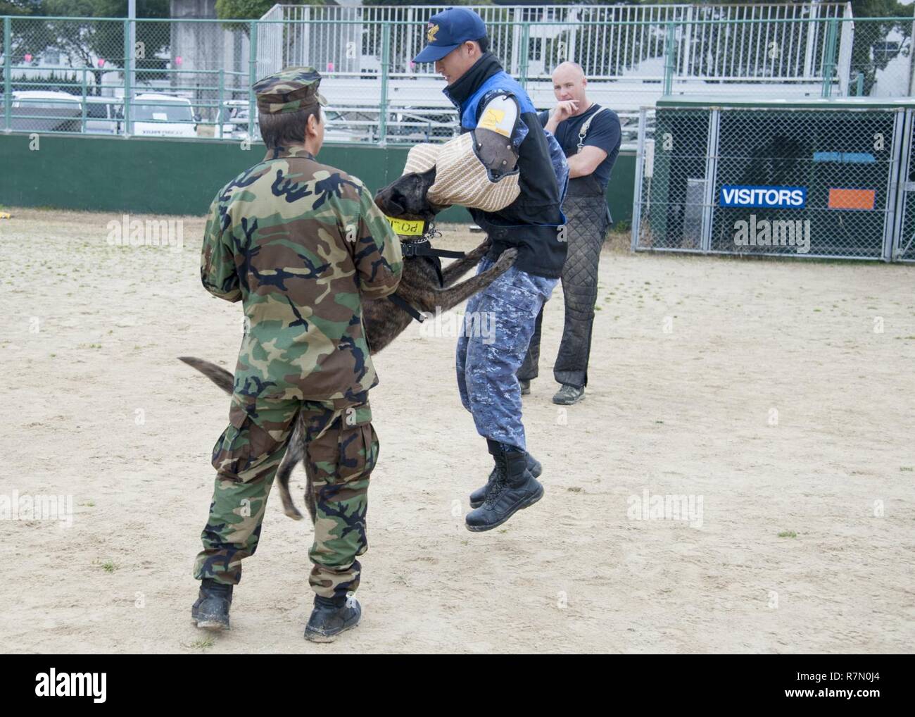 Royal cote of arms hi-res stock photography and images - Alamy