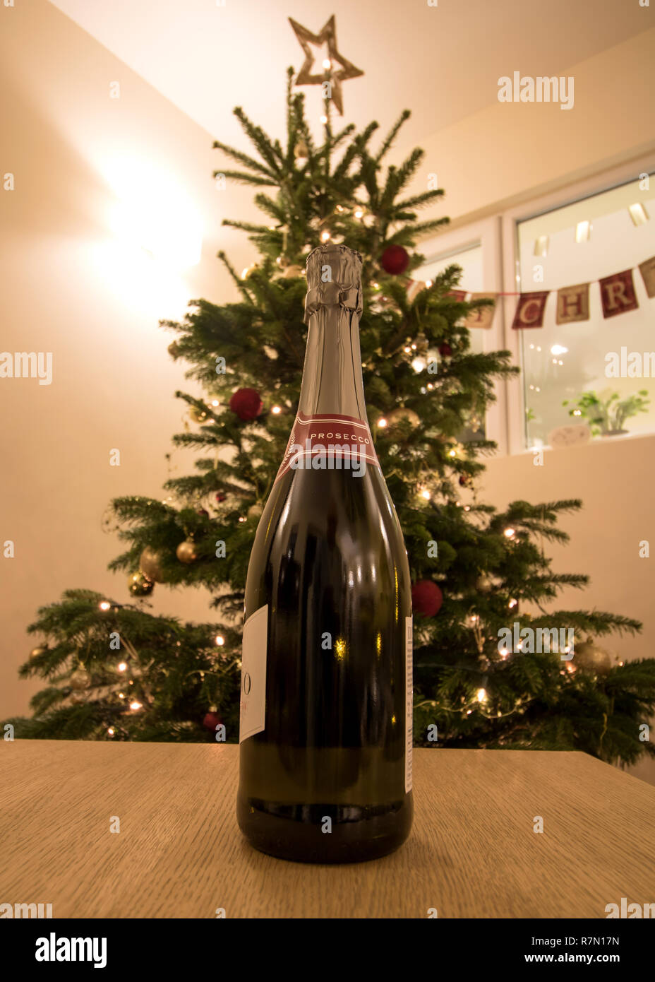 Party lights tree hi-res stock photography and images - Alamy