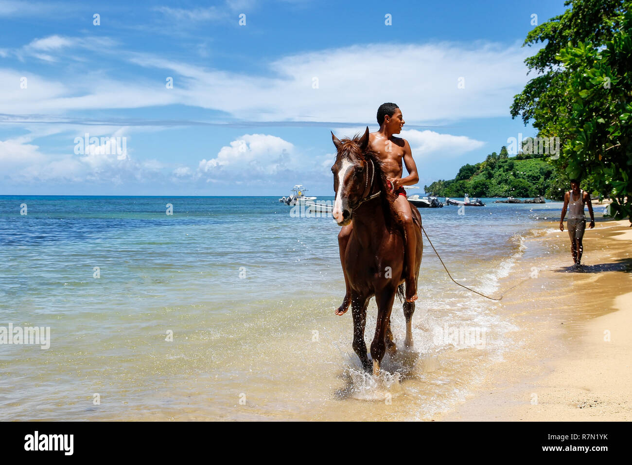 Young man riding horse on the beach on Taveuni Island, Fiji. Taveuni is ...