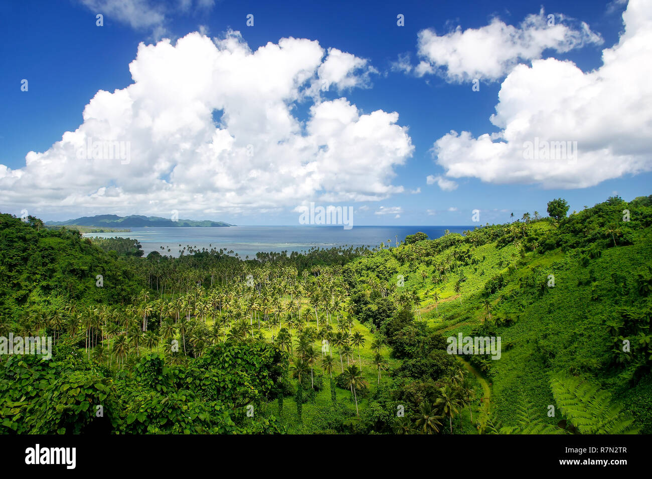 View of Bouma National Heritage Park and Somosomo strait on Taveuni ...