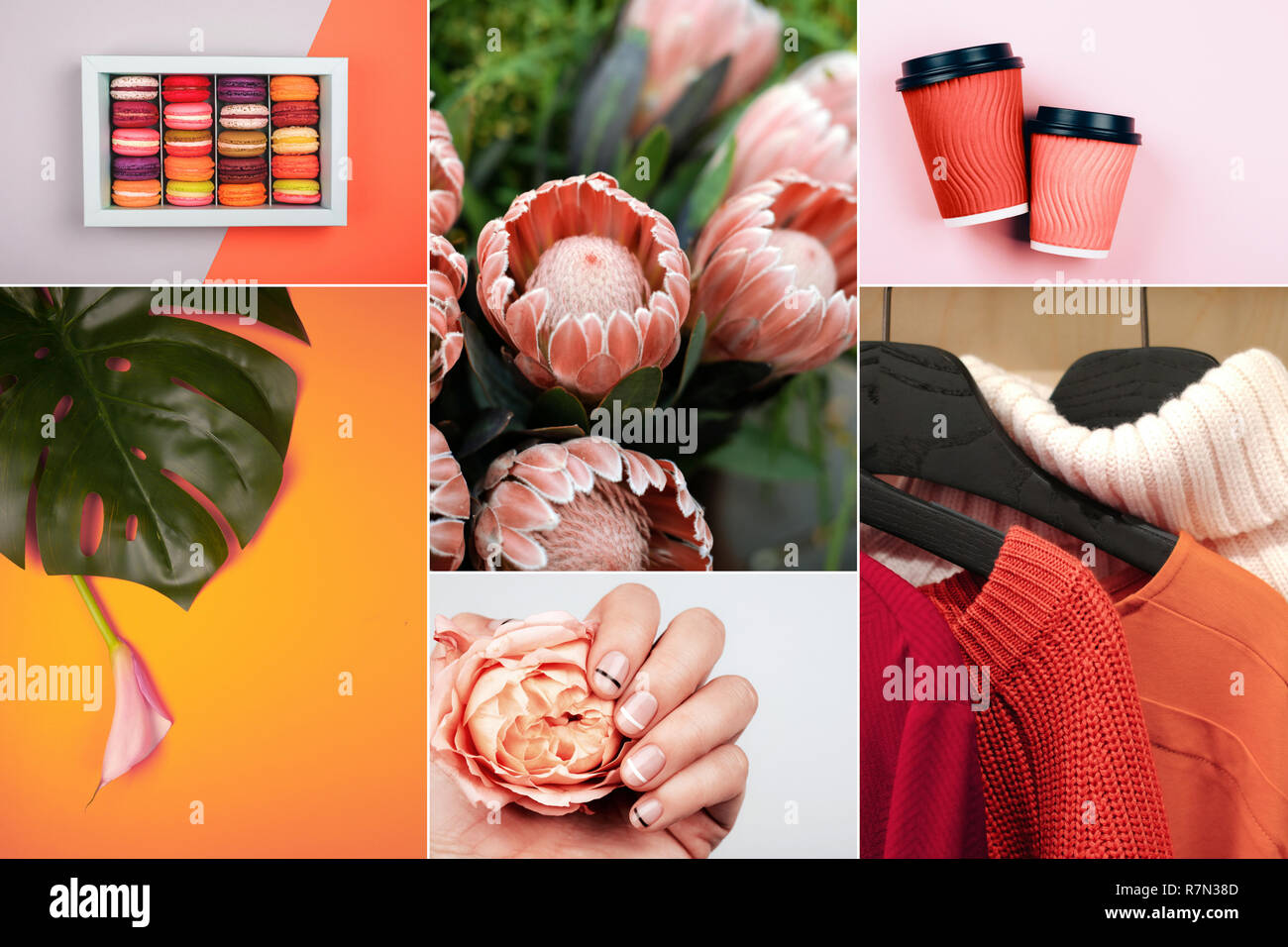Creative collage inspired by Living Coral - Color of the Year 2019 ...