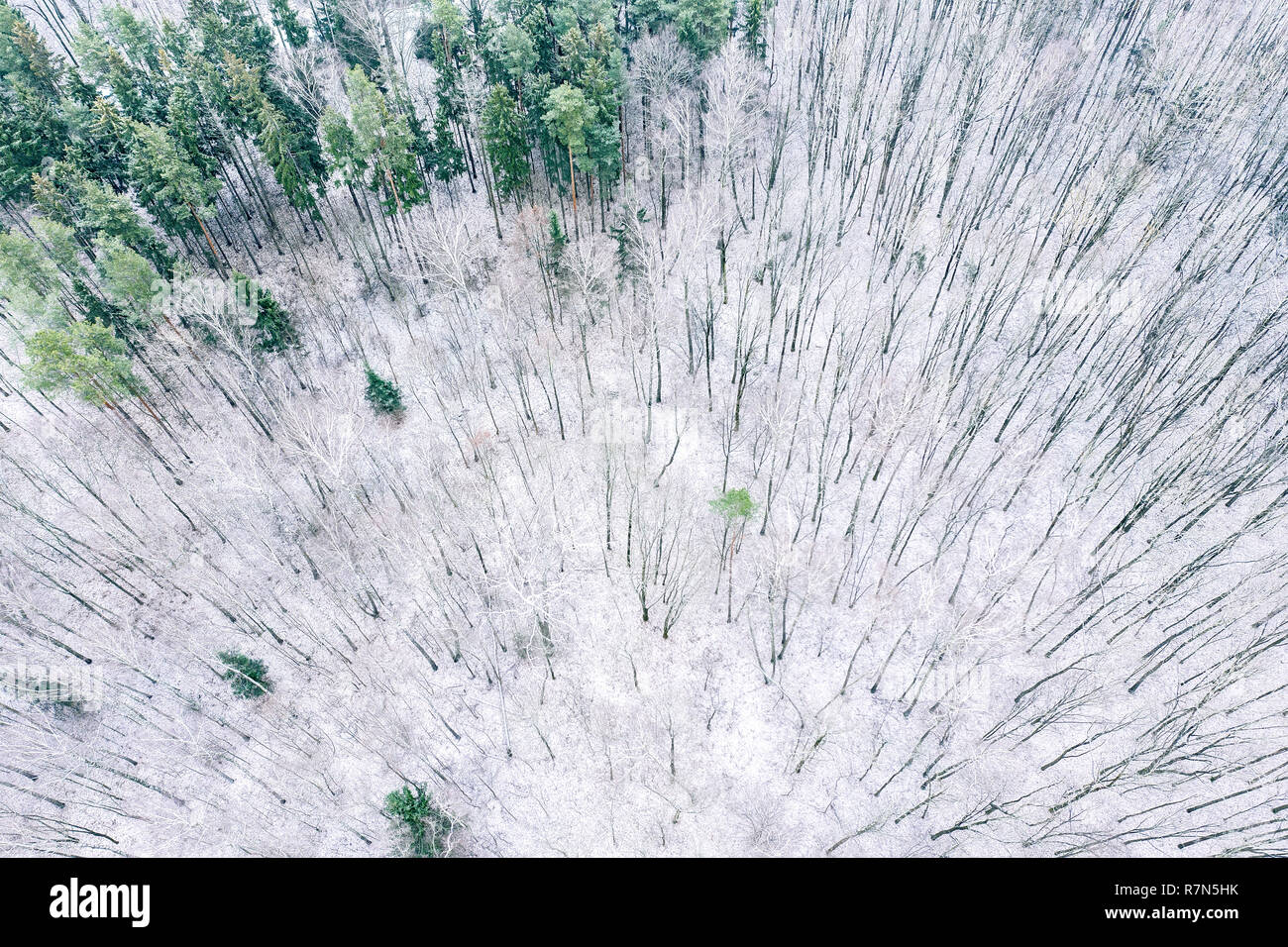 aerial view of beautiful snowy landscape. winter background with snow ...