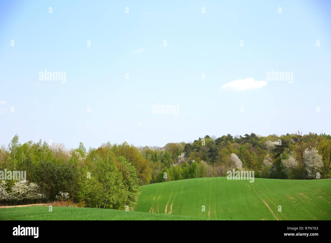Springtime view of extensive farmland in the countryside Stock Photo ...