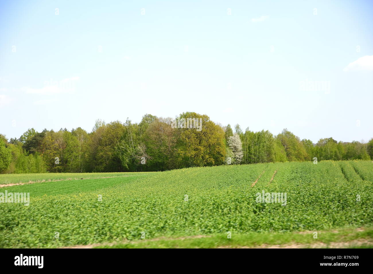 Springtime view of extensive farmland in the countryside Stock Photo ...