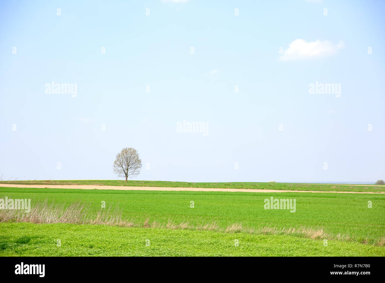Springtime view of extensive farmland in the countryside Stock Photo ...