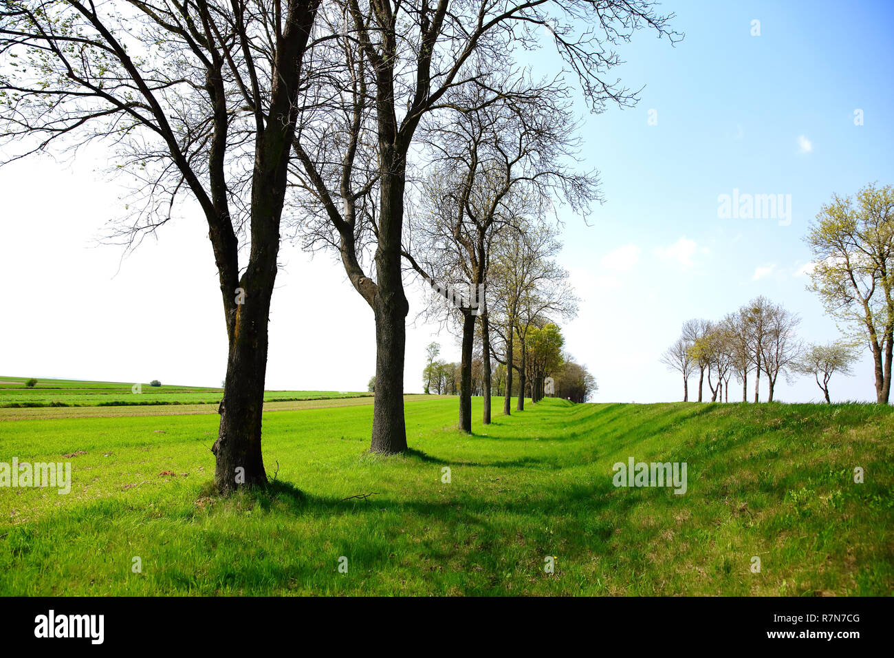 Springtime view of extensive farmland in the countryside Stock Photo ...