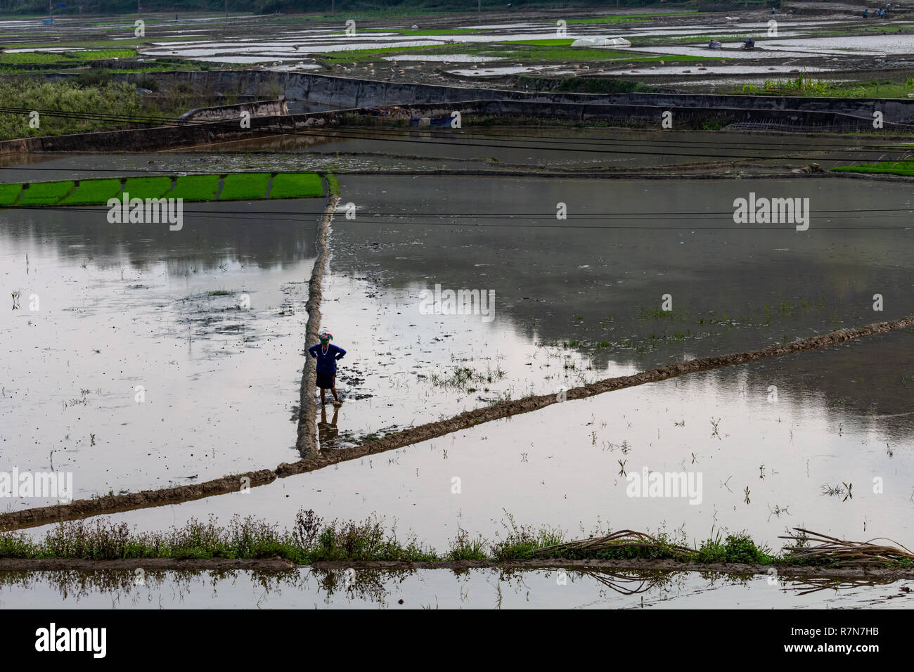 Barefoot Worker Stock Photos & Barefoot Worker Stock Images - Alamy
