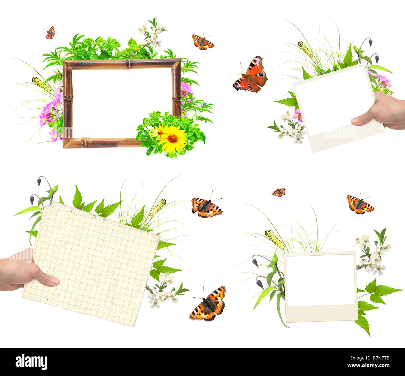 Collection of summer frames with photo, green leaves, flowers and ...