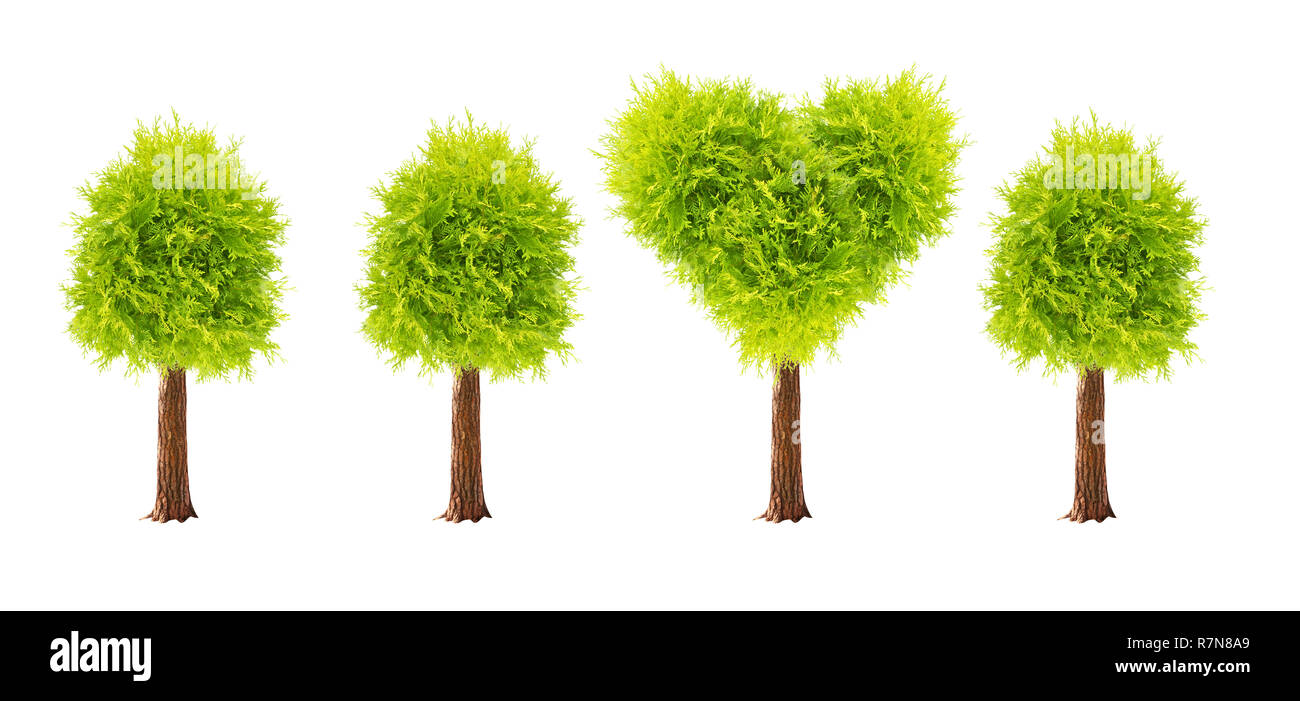 Heart shape tree and trees. Isolated on white background Stock Photo ...