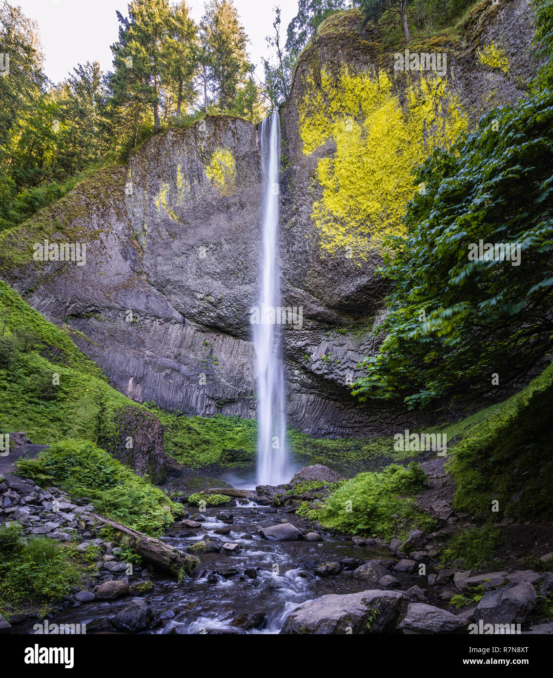 Latourell Falls, waterfall along the Columbia River Gorge, Historic US ...