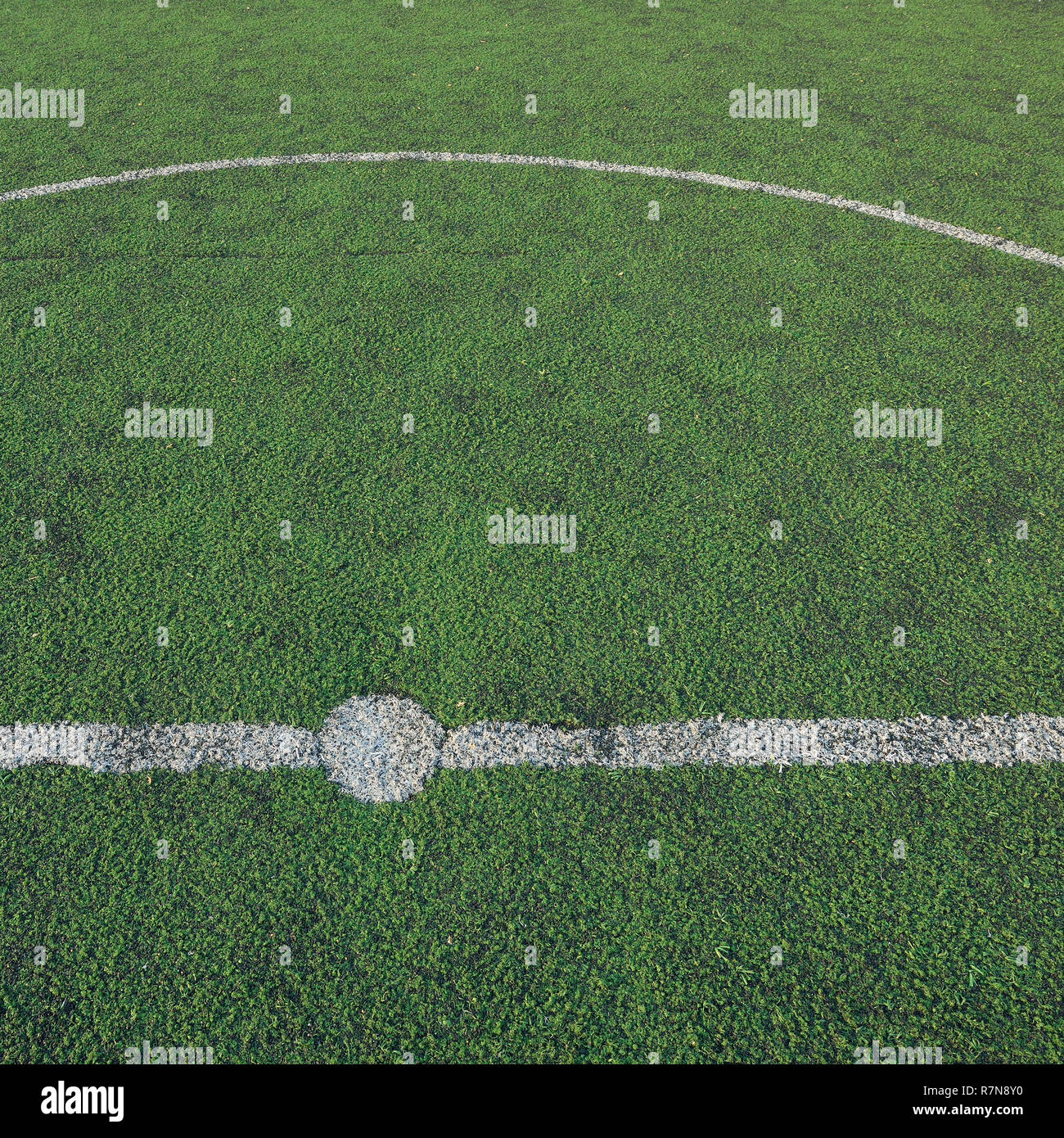 soccer field stadium on the green grass, sport game background for ...