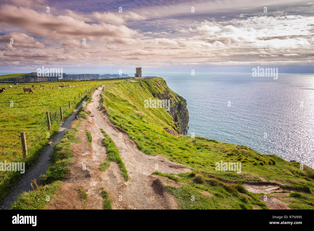 The clare at water tower hi-res stock photography and images - Alamy