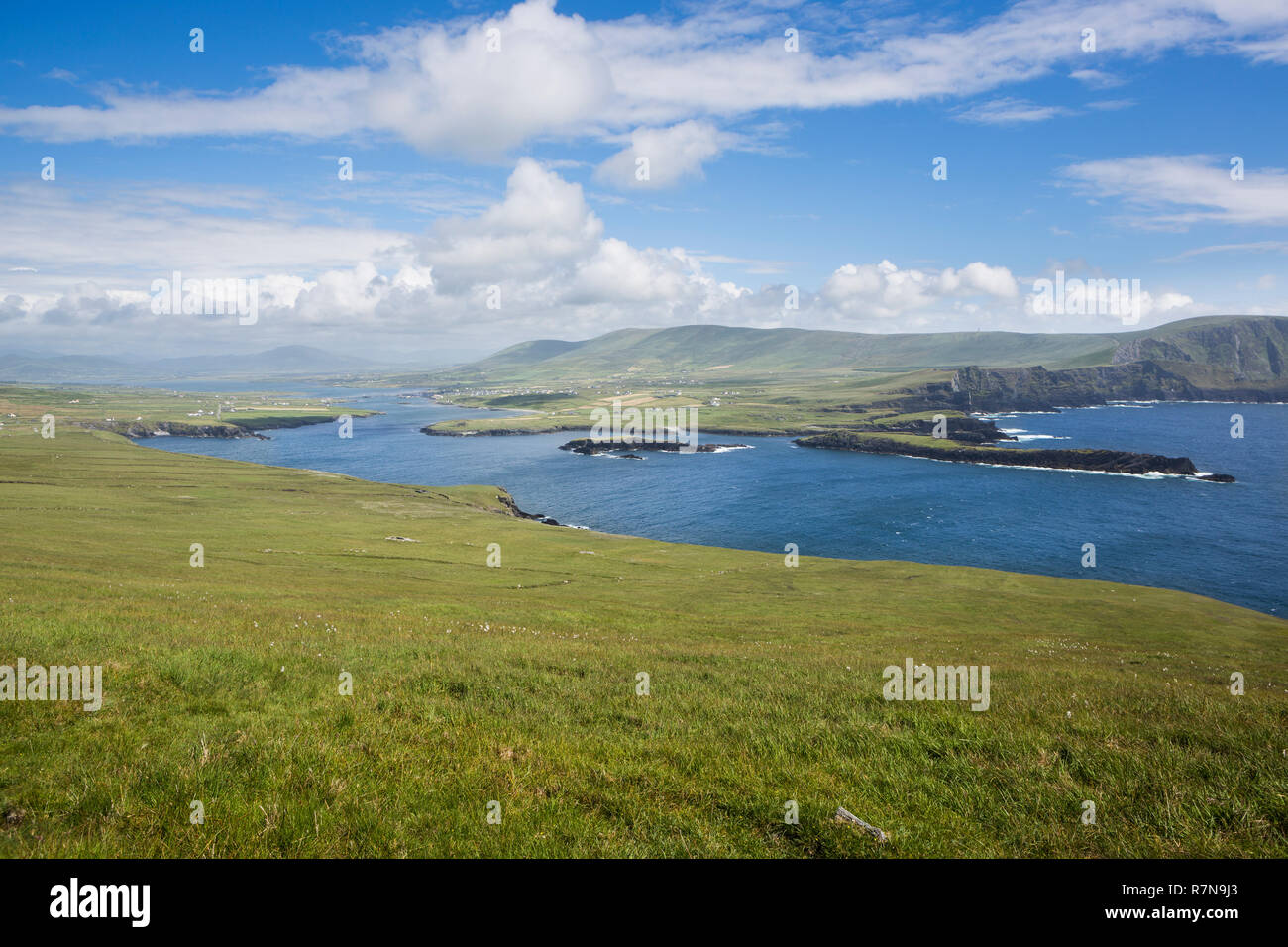 Bray head hi-res stock photography and images - Alamy