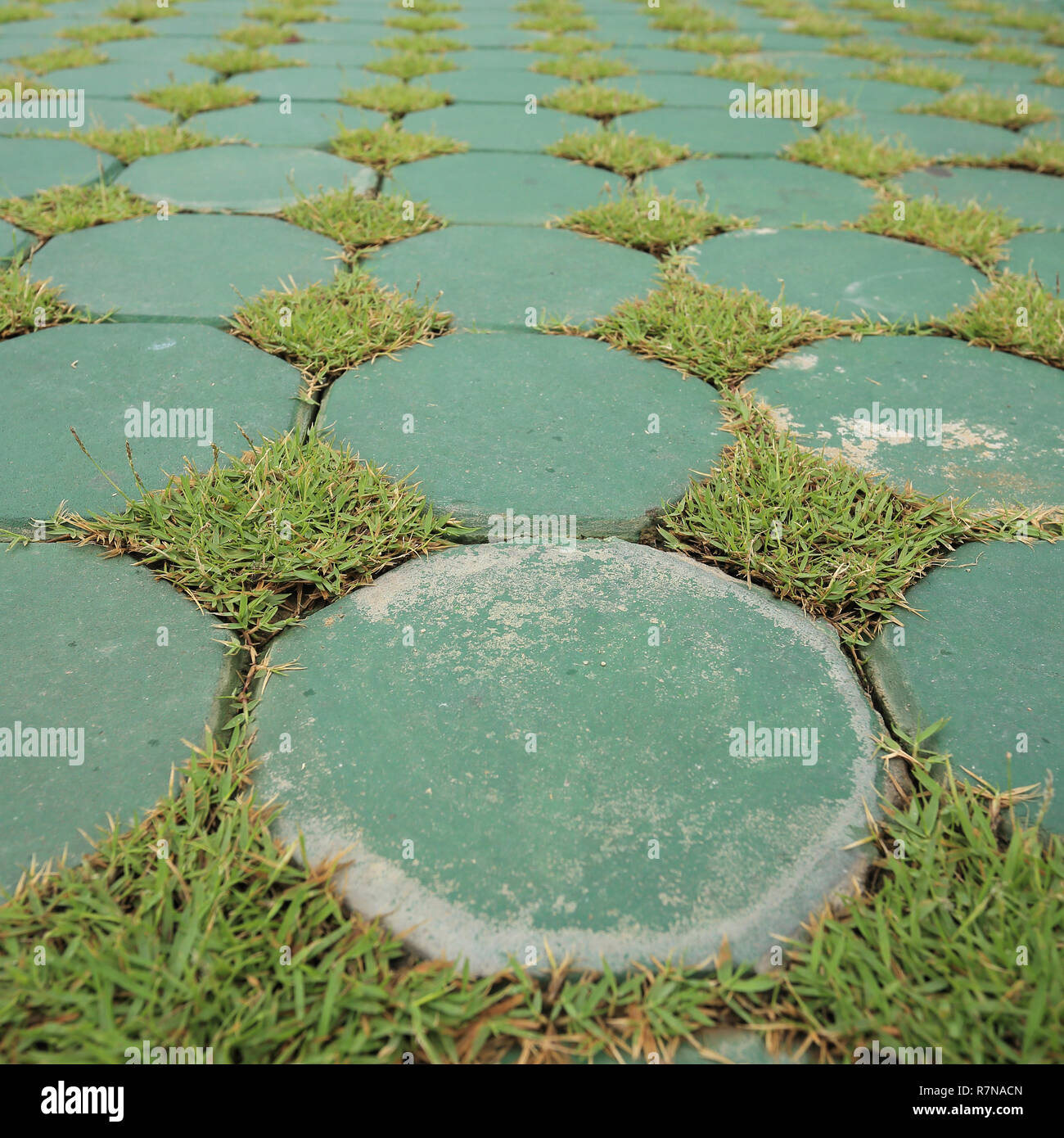 design of eco flooring use from cement block and green grass Stock ...