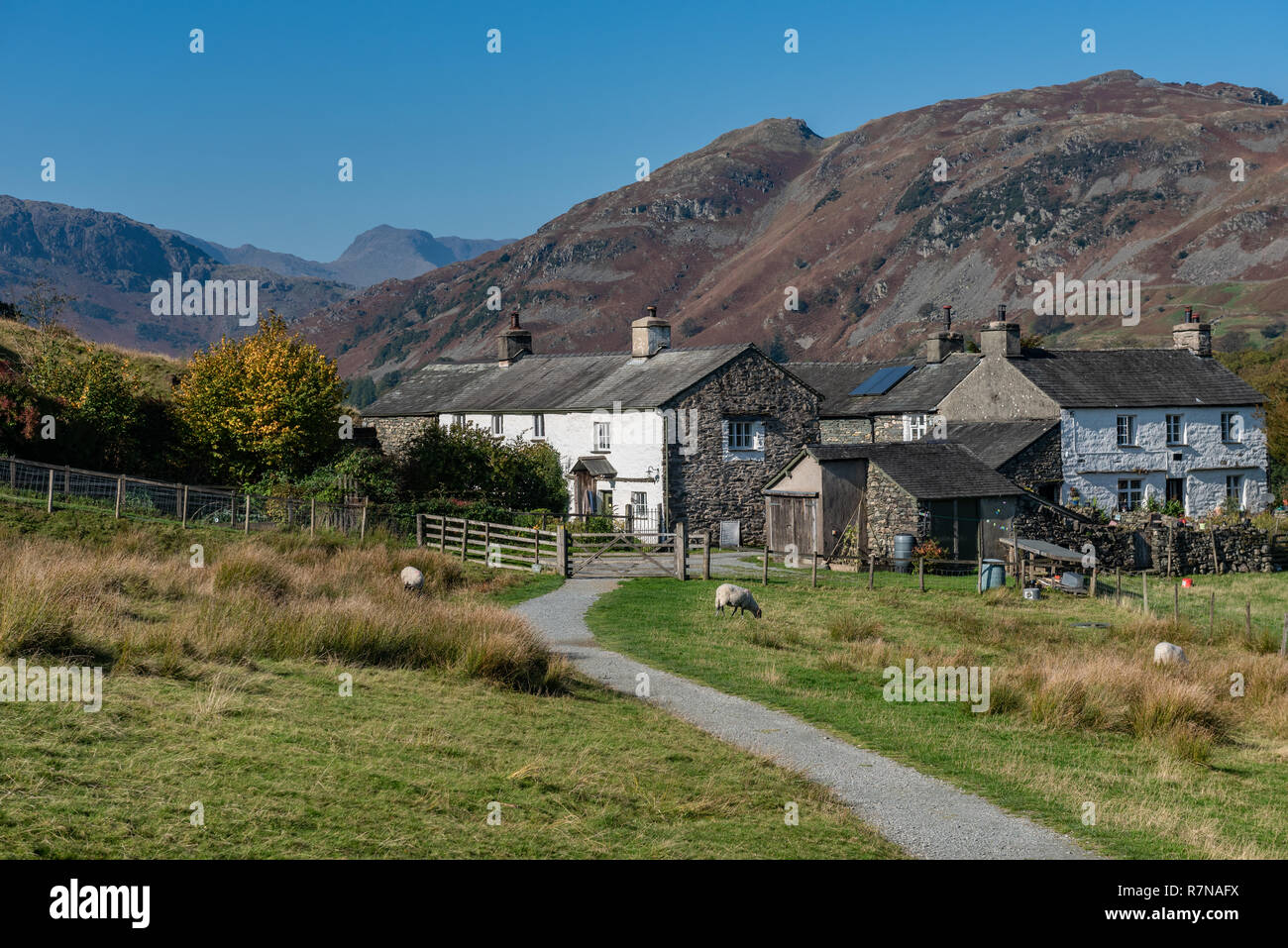 High Park Farm in Little Langdale Cumbria Stock Photo - Alamy
