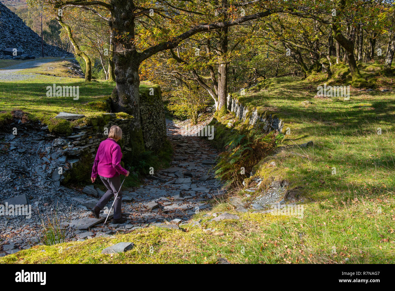 Cumbrian slate quarry hi-res stock photography and images - Alamy