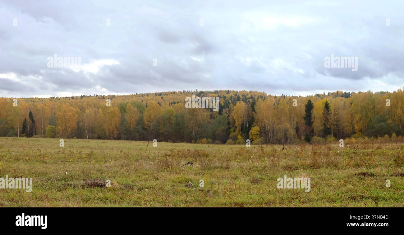 Rural autumn landscape with yellow leaves on the trees in the far ...