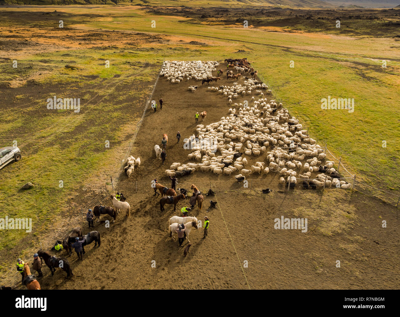 Sheep world hi-res stock photography and images - Alamy