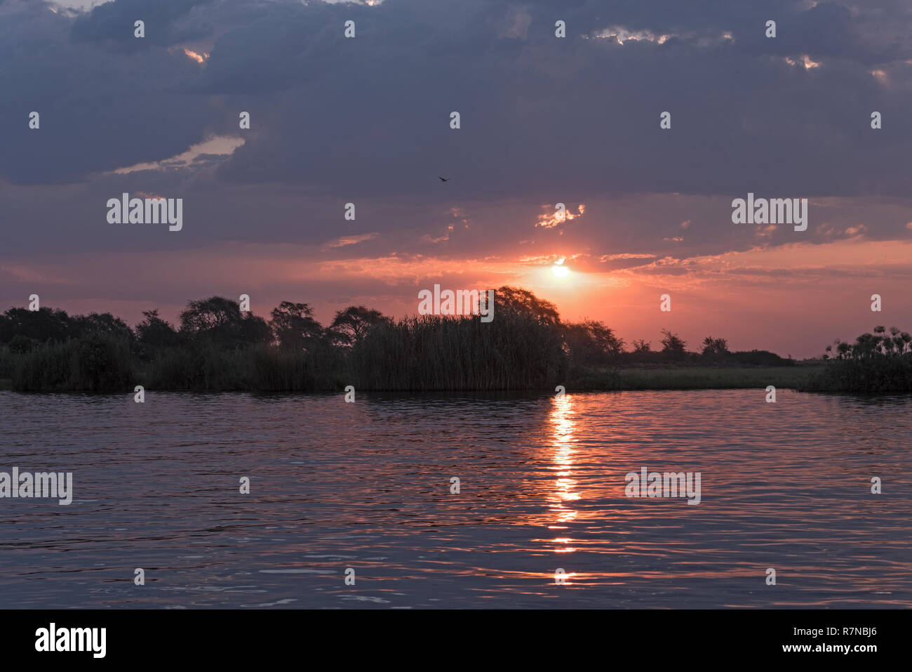 Botswana sunset hi-res stock photography and images - Alamy