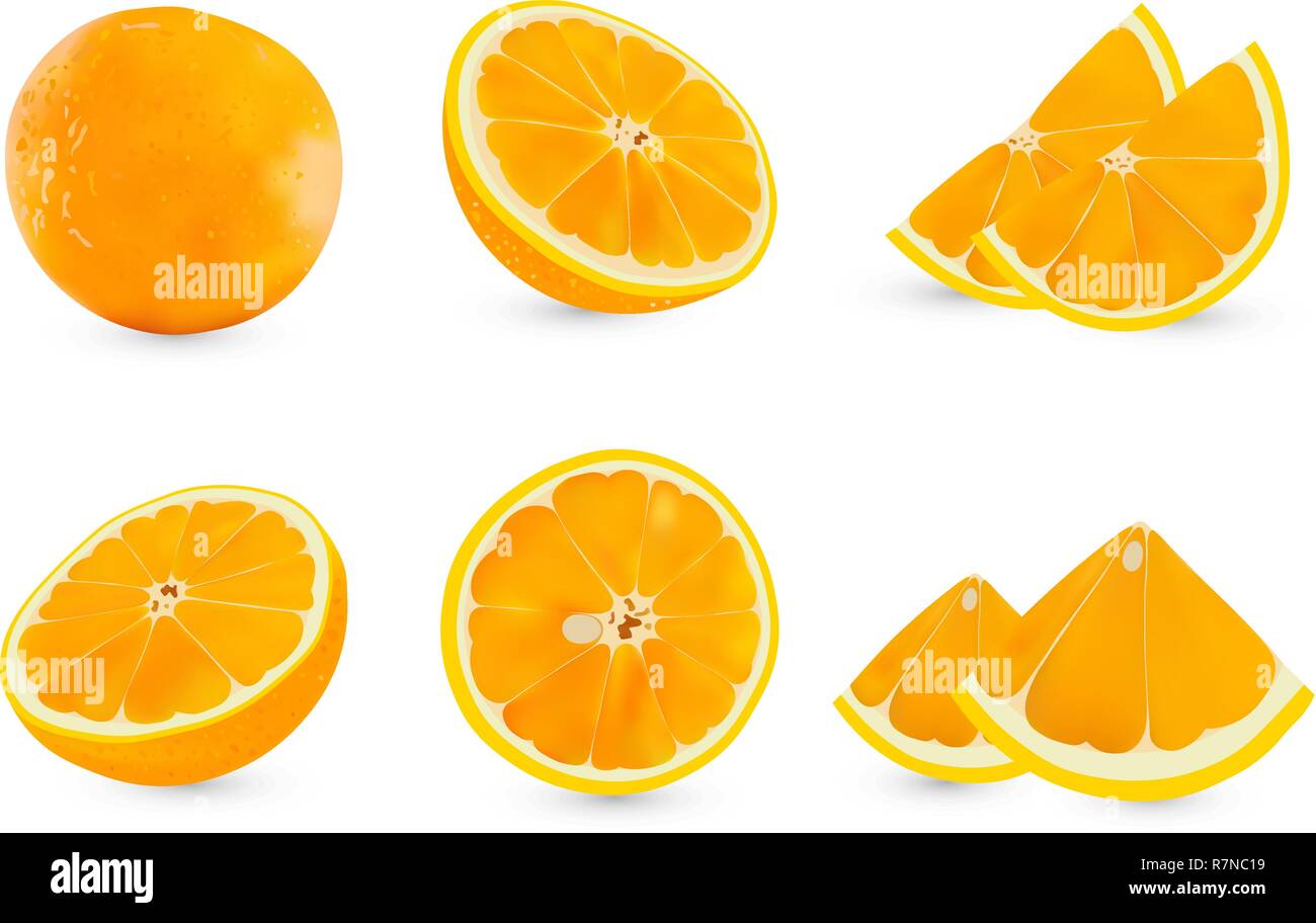 Vector set realistic whole orange and half orange isolated on white ...