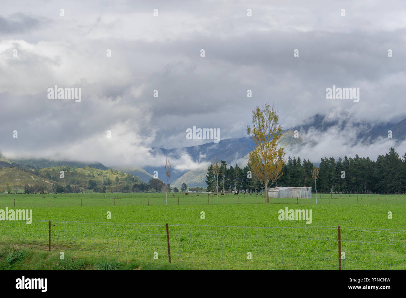 Rural landscape flat farm fields fences, shed and animals surrounded by ...