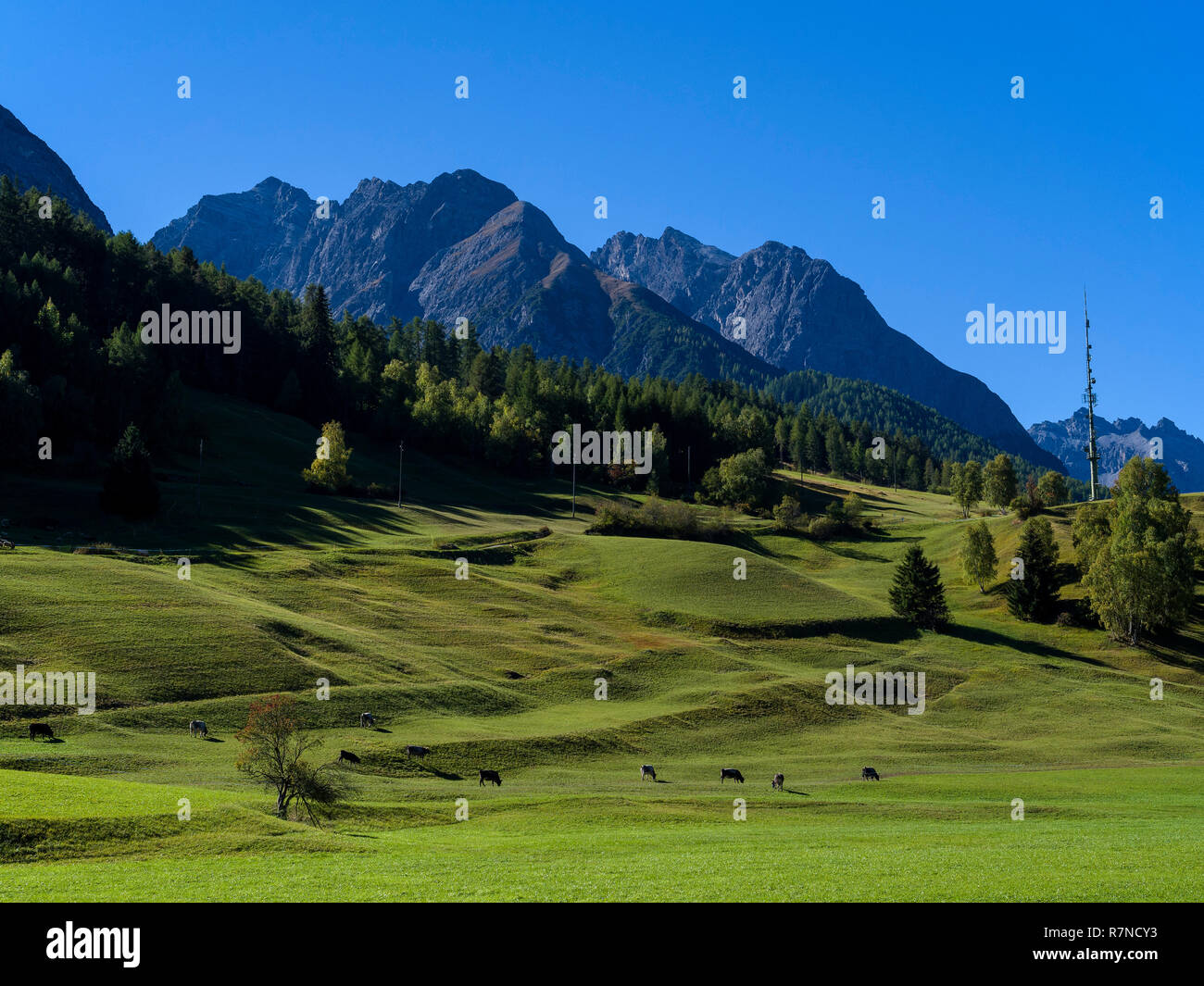 River Inn Valley near Tarasp, Scuol, Engadine, Grisons, Switzerland ...