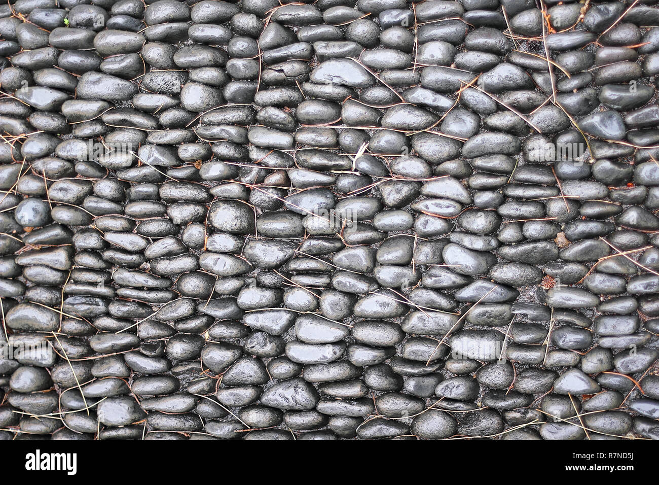 Pebble pavement hi-res stock photography and images - Alamy