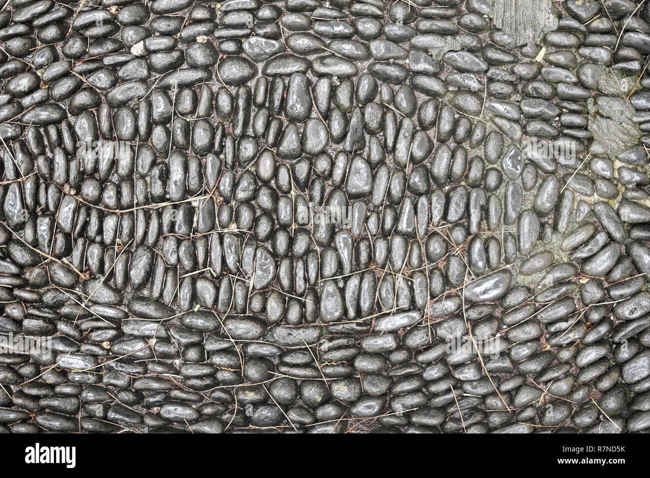 Pebble pavement in a park on Madeira Stock Photo - Alamy