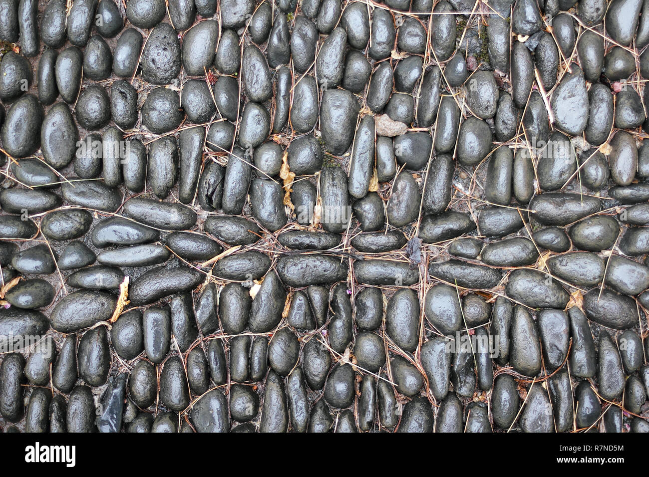 Pebble pavement in a park on Madeira Stock Photo - Alamy