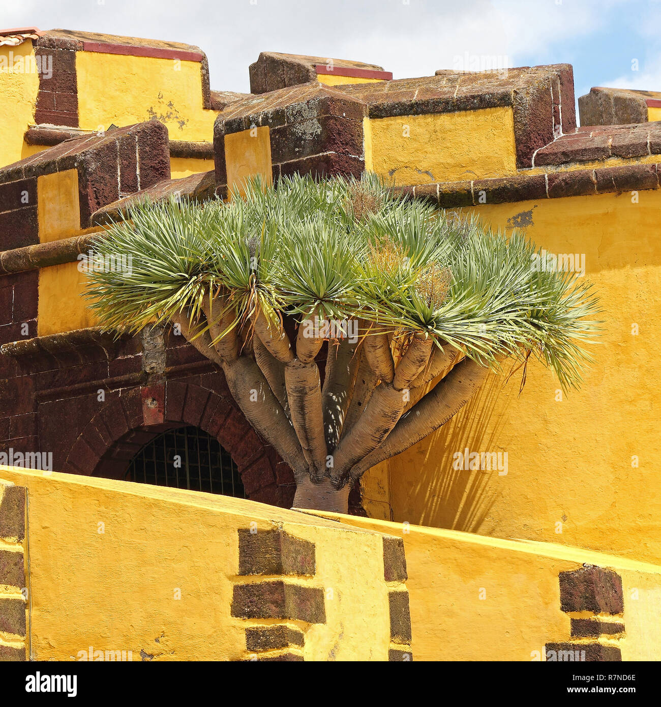 The San Tiago Fortress in Funchal on Madeira Stock Photo - Alamy