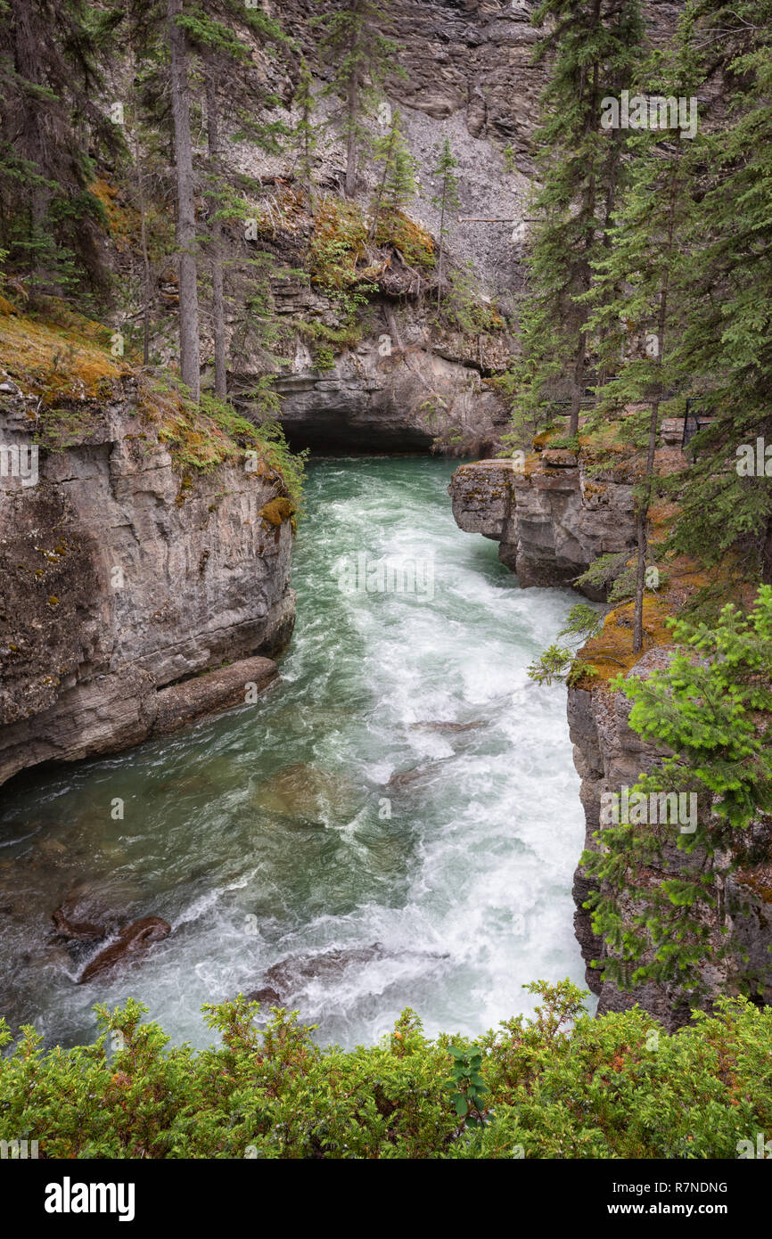 Maligne Canyon in Jasper National Park, Alberta, Canada Stock Photo - Alamy