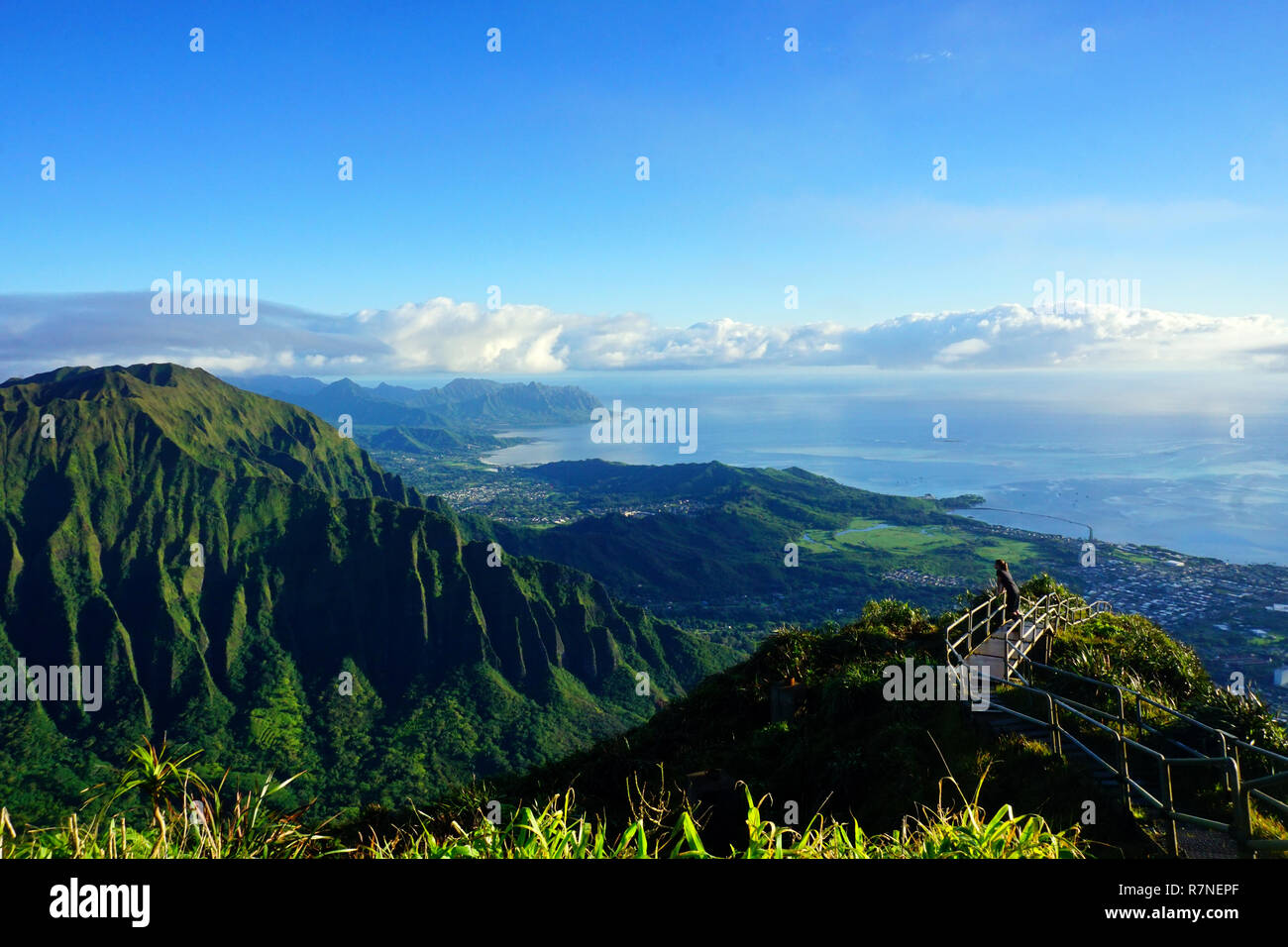 Stairway to Heaven (Haiku Stairs) Oahu, Hawaii Stock Photo - Alamy