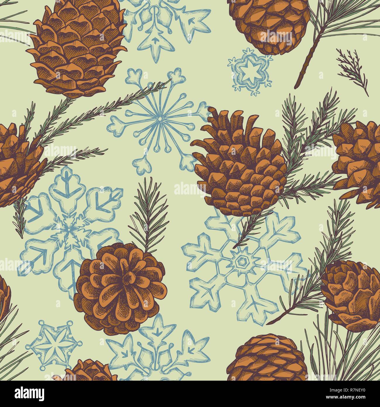 Redwood cones Stock Vector Images - Alamy