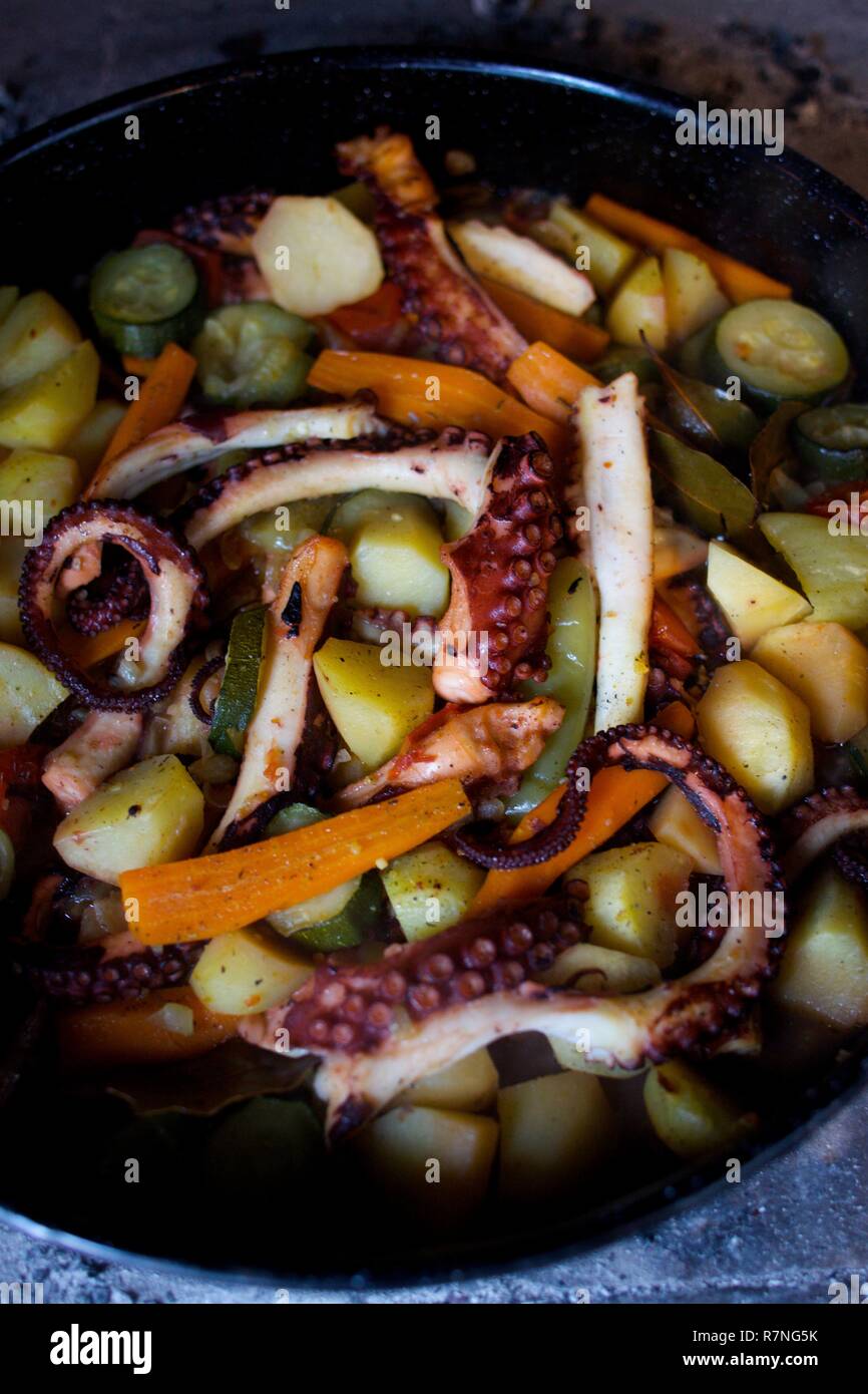 Croatia, Dalmatia, Dalmatian coast, Hvar island, Jelsa, Octopus Peka ...