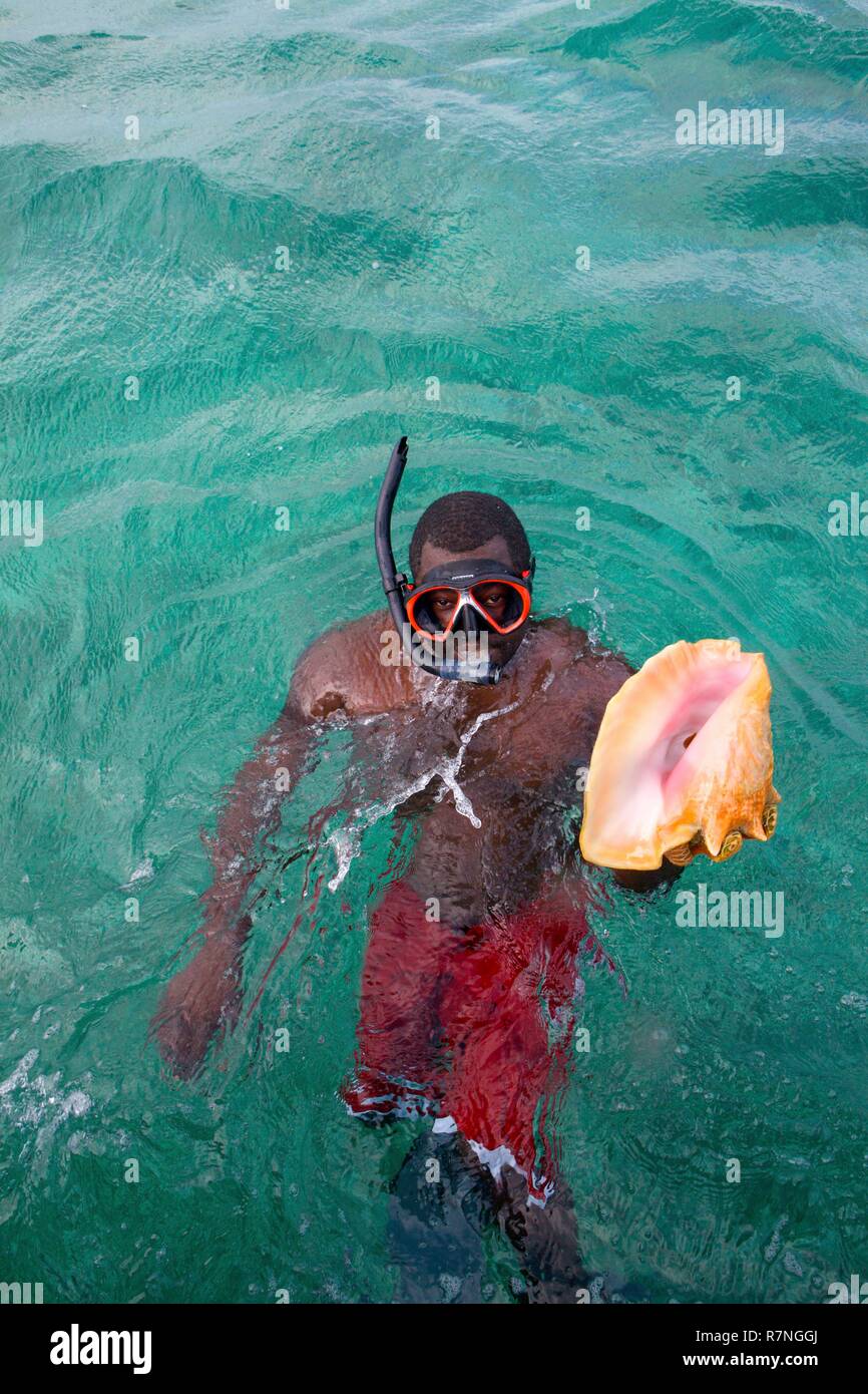 Conch fishing bahamas hi-res stock photography and images - Alamy